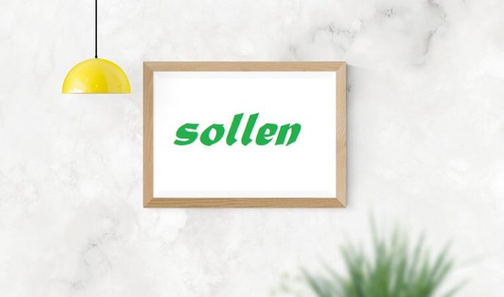 Sollen nemački modalni glagol - A1 nivo nemackiabc.com